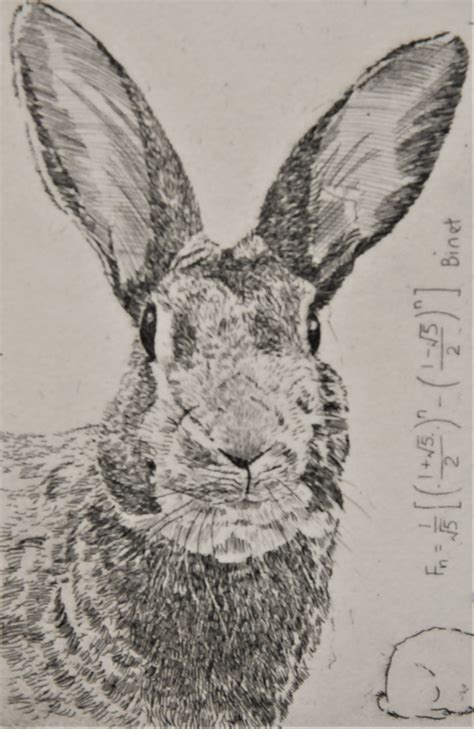 Fibonaccis Rabbit Art Print By Will Taylor Wychwood Art