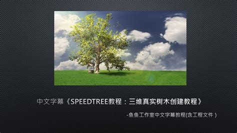 中文字幕《speedtree教程：三维真实树木创建教程》modeling Realistic Trees With Speedtree
