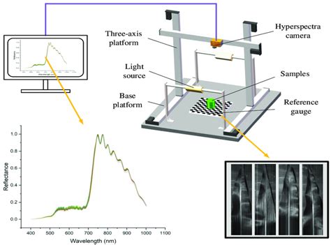 The Structure Of The Hyperspectral Imaging System Download