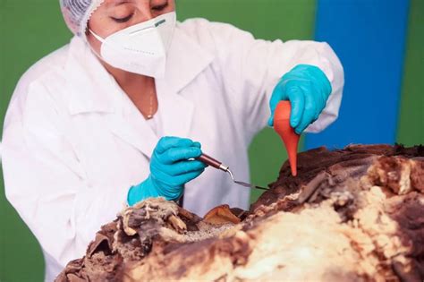 ¿qué Es El Cira Y Por Qué Su Eliminación Pondría En Riesgo Al