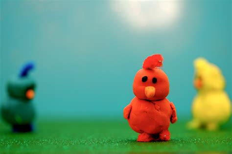 배경 화면 푸른 하늘 특히 잘하는 태양 귀엽다 새 잔디 조류 구름 장난 사진 재미있는 영상 대단히 좋은 그림 베스트 탐험하다 Cc