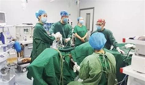 能「隱形」的手術——經臍單孔腹腔鏡手術「四兩撥千斤」 每日頭條