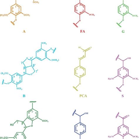 A B O 4 Alkyl Aryl Ethers B Resinols C Phenylcoumarans