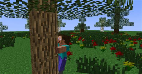 Minecraft Steve Attepting To Climb A Tree By Nesphext On DeviantArt