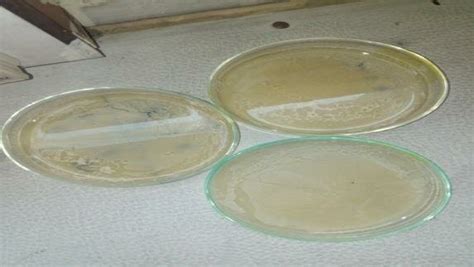 Preparation Of Transdermal Patches Download Scientific Diagram