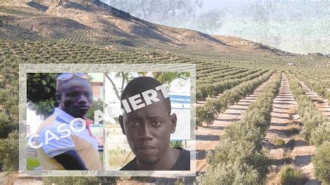 Jornaleros Desaparecidos Jaén La Guardia Civil Busca Entre Los Olivos