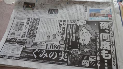 ころんでからはもう遅い ナンミョー爺さん