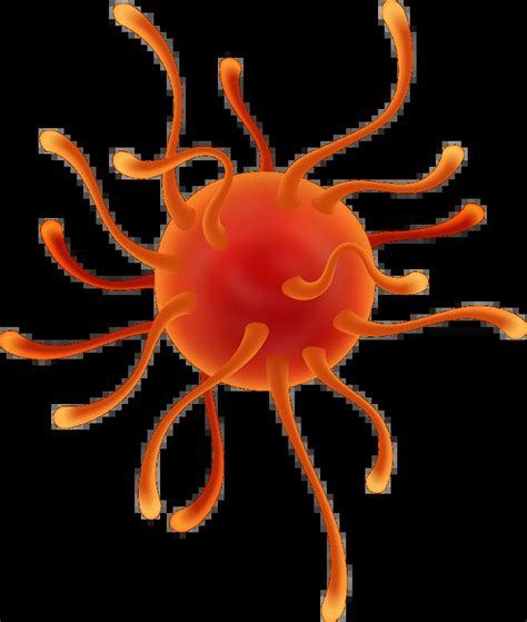 生物病毒微生物细菌病菌流感杆菌细泡 花瓣网