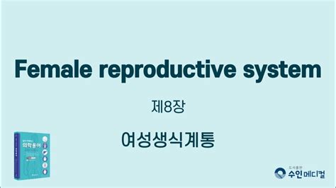 쉽게 이해하는 의학용어 제8장 여성생식계통female Reproductive System Youtube