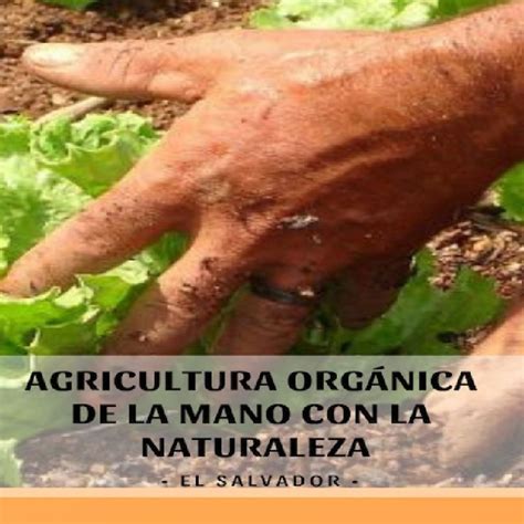 Proponemos Acciones Para Evitar La Contaminacion Del Suelo Con