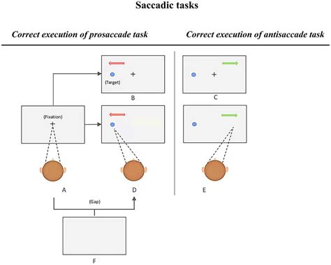Various Conditions Of The Prosaccade And Antisaccade Tasks Adapted