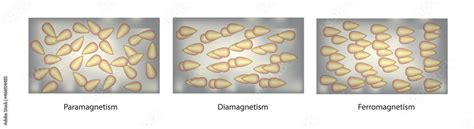 Physics Illustration Of Paramagnetism Diamagnetism And Ferromagnetism