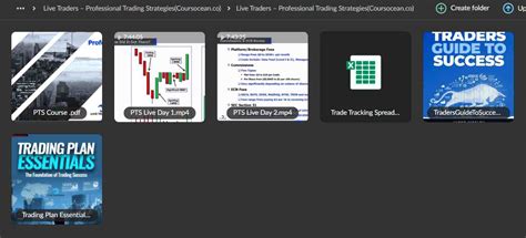 Live Traders â€ Professional Trading Strategies Coursocean