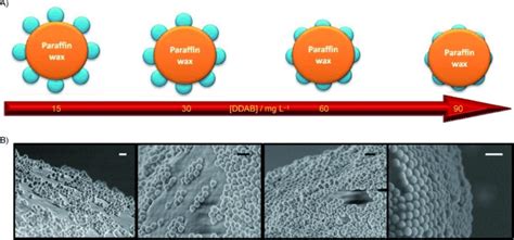 A Schematic Representation Of The Effect Of Ddab Concentration On The