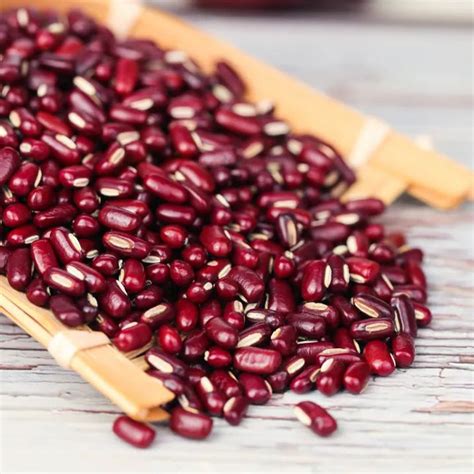 淘宝订单号查询攻略：手把手教你轻松找到订单号！ 淘宝 淘宝百科网