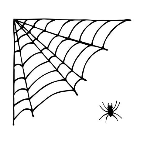 Premium Vector Simple Hand Drawn Spider Web Illustration Cute