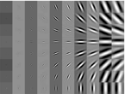 The Wavelet Basis Functions Up To Translations The Basis Functions