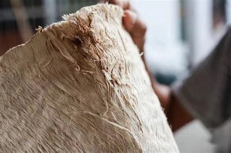 The Art Of Bark A Closer Look At Li Ethnic Group S Tree Bark Fabric CGTN