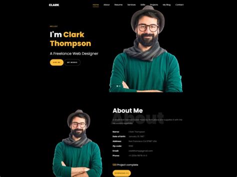 20 Free Portfolio HTML Website Templates TemplatesJungle