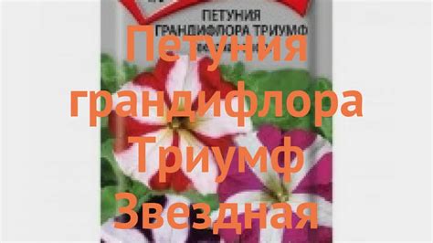 Петуния грандифлора Триумф Звездная смесь 🌿 обзор: как сажать, семена ...
