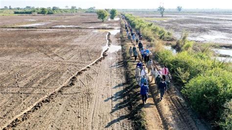 រដ្ឋាភិបាល កាត់ ដី ព្រៃ លិច ទឹក ជិត ១ ពាន់ ហិកតារ នៅ ខេត្តកំពង់ឆ្នាំង ប្រគល់ ឲ្យ ឯកជន និង