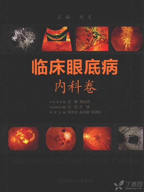 临床眼底病 内科卷 丁香园论坛
