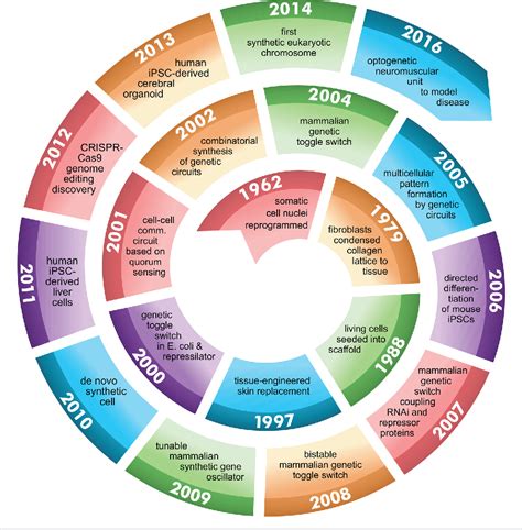 Figure 3 From Principles For The Design Of Multicellular Engineered Living Systems Semantic