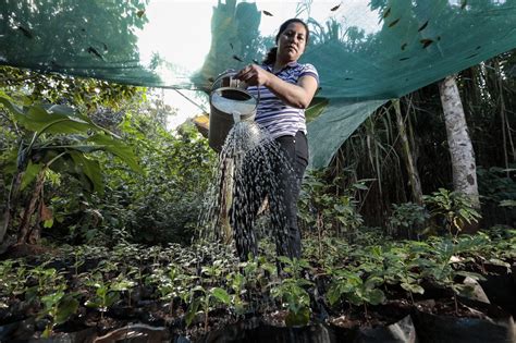 Industries Endanger Water Quality In El Salvador Ongoing Issue
