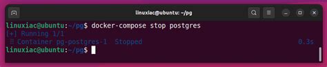 How To Run PostgreSQL With Docker A Step By Step Guide