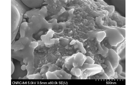 Influence Of Particle Temperature And Velocity On The Microstructure