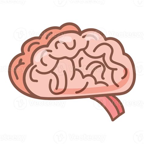 Brain Doodle Cartoon 39095955 Png
