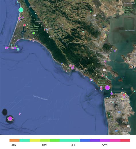 Vega Makes Visualizing Big Data Easy
