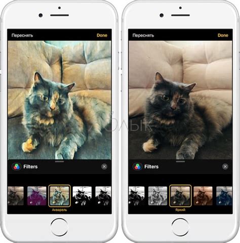 Как редактировать добавлять эффекты и текст на фото видео в Imessage на Iphone и Ipad Яблык
