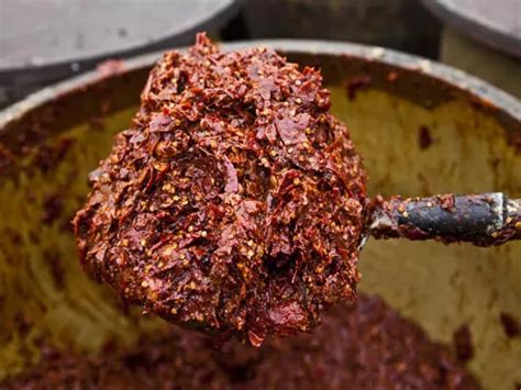 Spicy Soybean Paste Kashevar