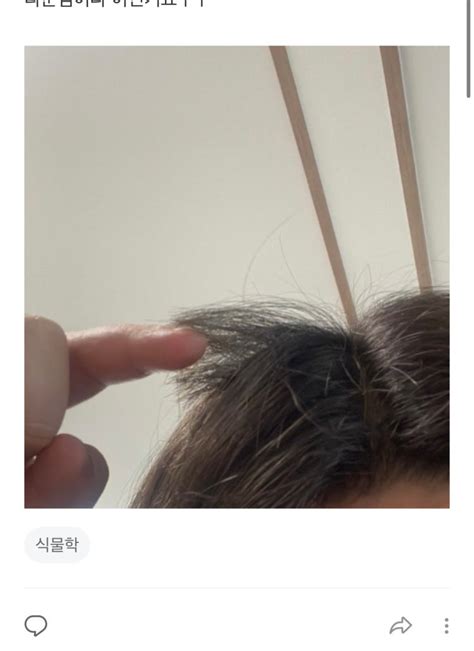 머리 숱가위로 자르다 지식in