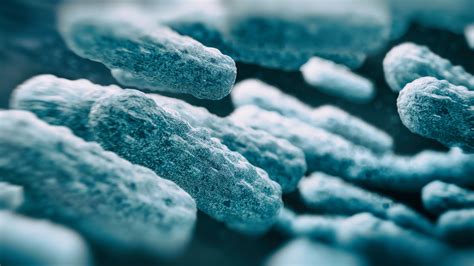 Bioinformatics Into Tb Surveillance A New Approach To An Ancient Foe