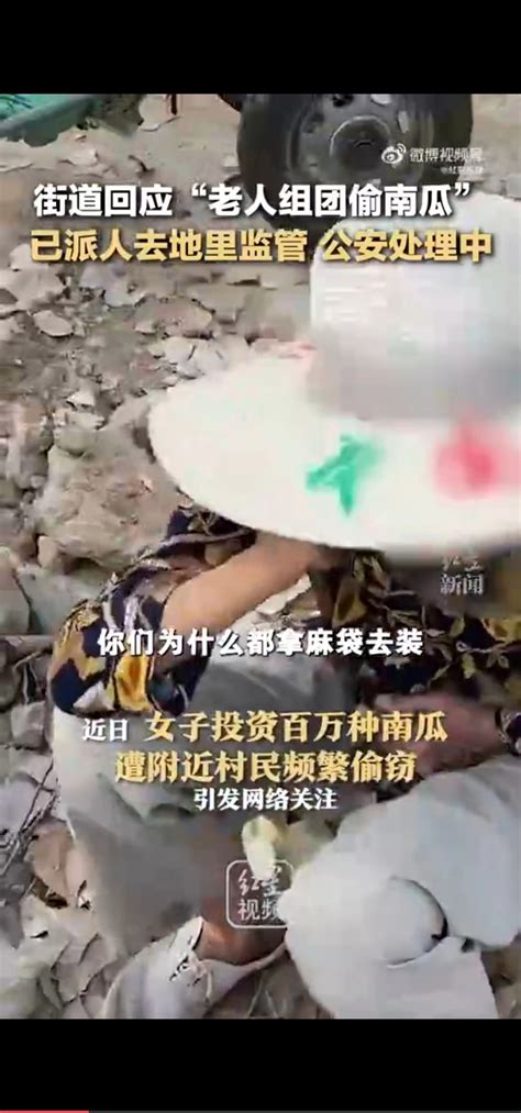 武汉一女子投资百万种瓜被村民组团偷窃？官方回应凤凰网湖北凤凰网