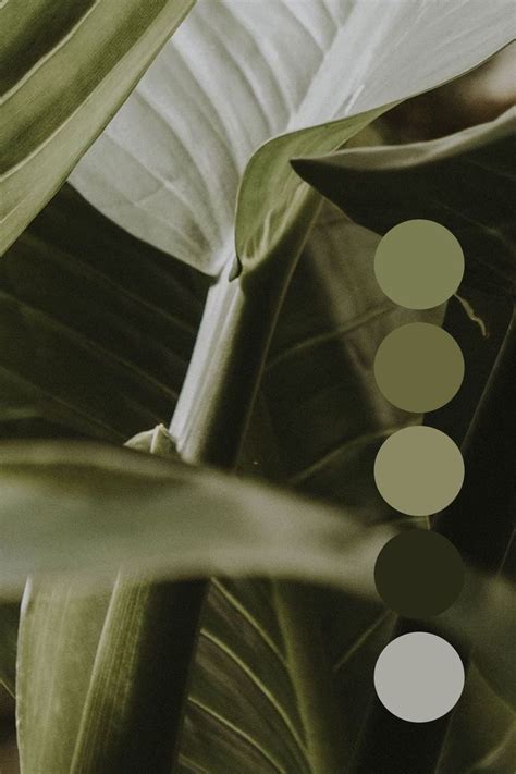 Природная палитра цветов Цвета для интерьера дома Внутренние цветовые схемы Оттенки зеленого