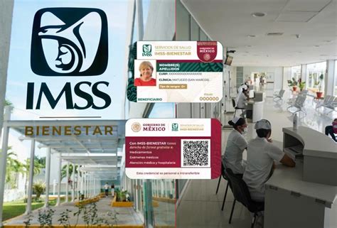 Imss Bienestar 2024 ¿cómo Registrarse Y Tramitar Credencial