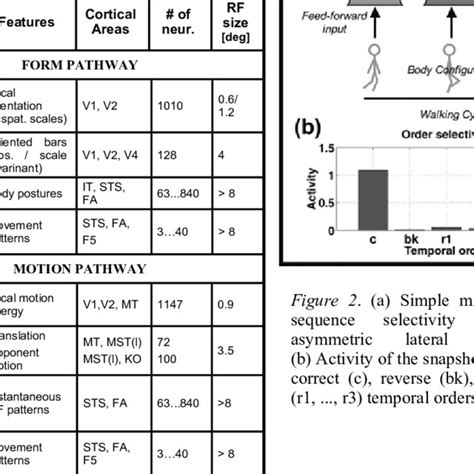 Overview Of The Properties Of The Neural Detectors And Potentially