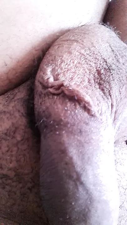 How To Dominate An Anaconda You Can Dominate This Anaconda Here