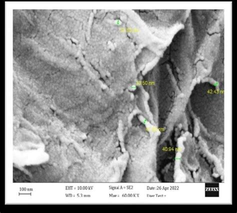 Micrographs With A Device Sem Of Nanoparticles Reduced Graphene