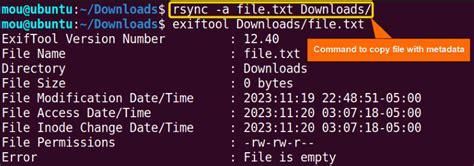 File Information And Metadata Linuxsimply