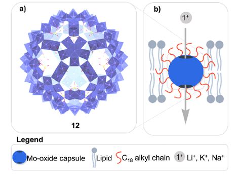 A A Representation Of A Molybdenum Oxide Capsule 12 Which Was