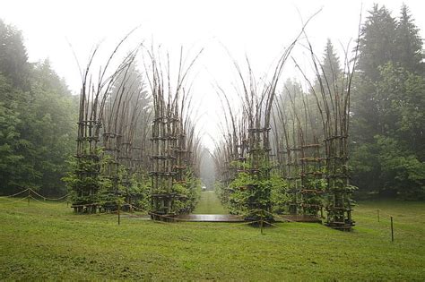 8 Extraordinary Pieces Of Architecture Grown From Living Trees Atlas Obscura