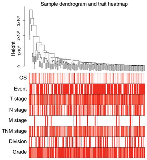 Clustering Dendrogram Of 169 Samples And The Associated Clinical