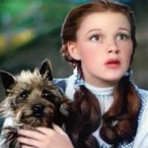I Dont Think Were In Kansas Anymore Toto Blank Template Imgflip