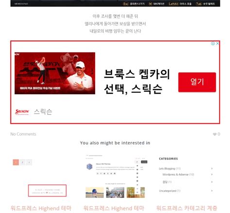워드프레스 애드센스 수동 광고 삽입방법 Flat Sun
