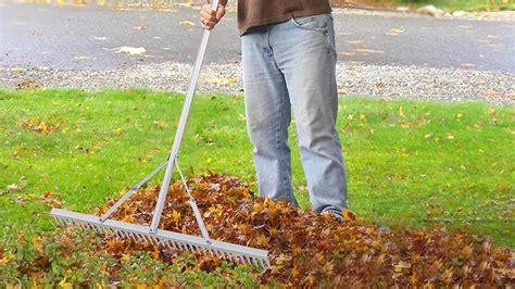 What Are The Different Types Of Rakes And What Do They Do Tom S Guide