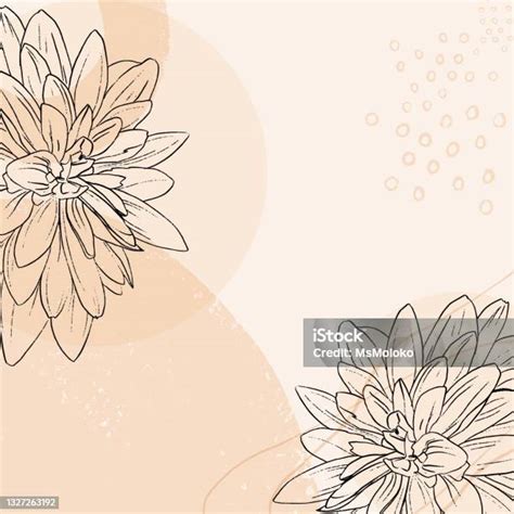 손으로 그린 벡터 꽃 배경 두 개의 Asters 과꽃에 대한 스톡 벡터 아트 및 기타 이미지 과꽃 꽃 식물 라인아트